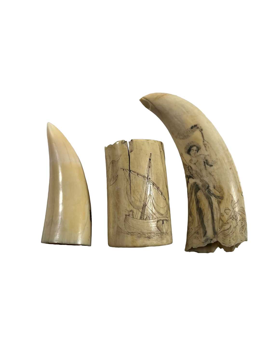 Lot 5 - Ø A SCRIMSHAW-DECORATED WHALE TOOTH ROOT